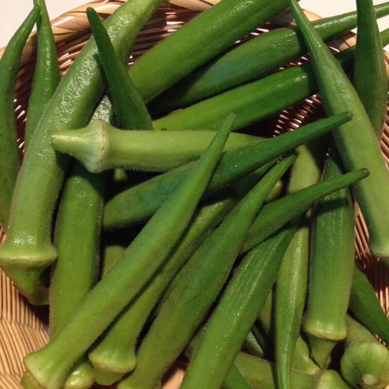 PSA Perkins Long Pod Okra Abelmoschus Esculentus Fast Growing - Seeds ...