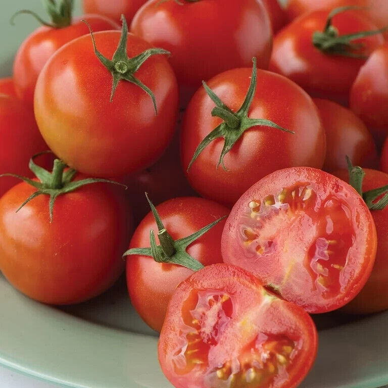 AD 50 Seeds Early Treat Tomato Juicy Tomatoe Vegetable Edible Food Home ...