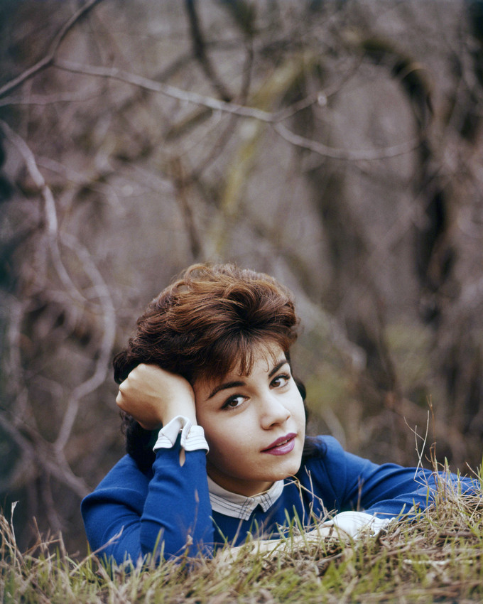 Annette Funicello Posing In Woods Circa 1960 8x10 Photo(20x25cm) - Color