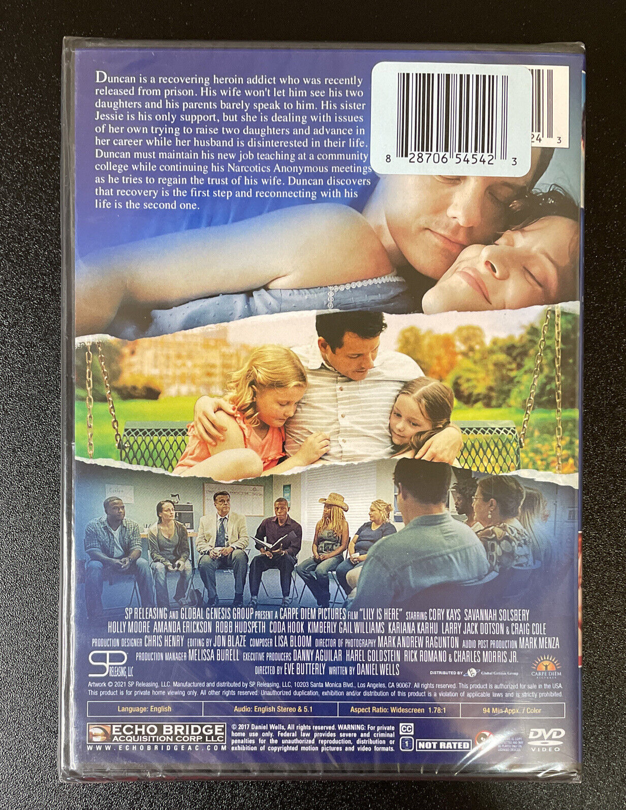 LILY IS HERE (DVD, 2017, WS) Cory Kays, Amanda Erickson, Holly Moore RARE NEW - DVDs & Blu-ray Discs
