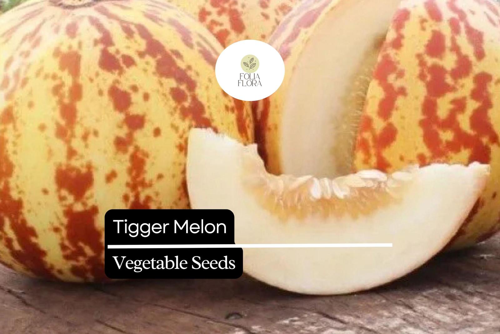 10 Seeds Tigger Melon (Cucumis melo) – Unique Heirloom Melon with ...