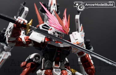 ArrowModelBuild Astray Red Dragonics Built & Painted HIRM 1/100 Model ...