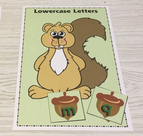 Squirrel’s Acorn Sort - Uppercase Lowercase and 50 similar items