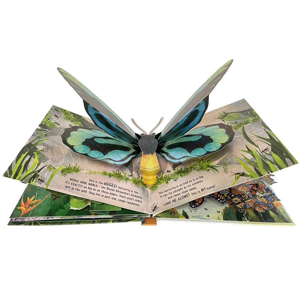 Usborne Pop Up Butterflies English 3D Flap Picture Books for Kids ... Usborne Pop Up Butterflies English 3D Flap Picture Books for Kids ...