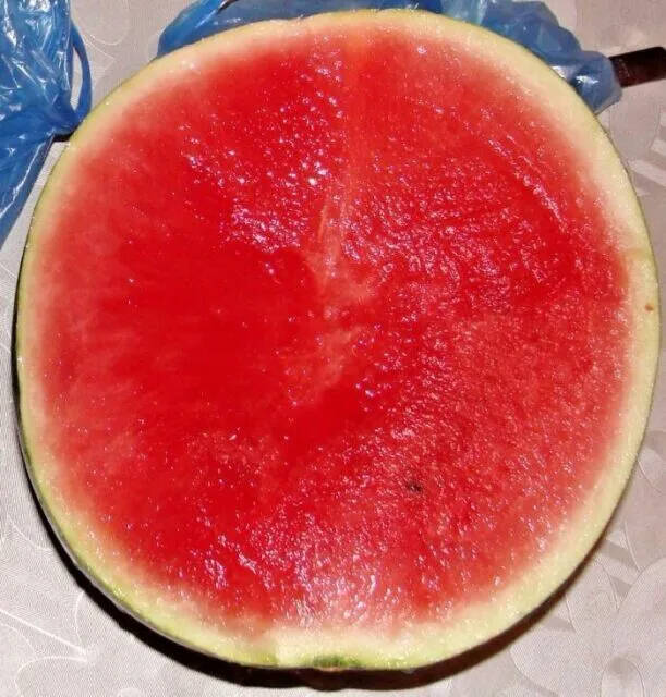 Yellow Skin Red Seedless Watermelon Fruit, 10 Seeds - Other Plants ...