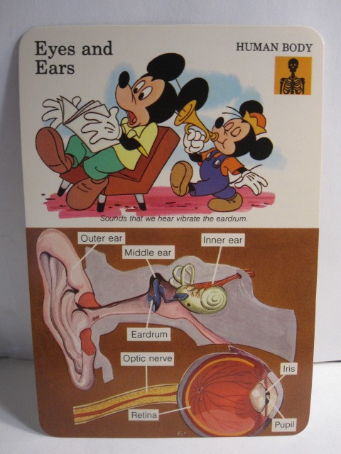 1978 Walt Disney's Fun & Facts Flashcard #DFF4-9: Eyes and Ears - Other