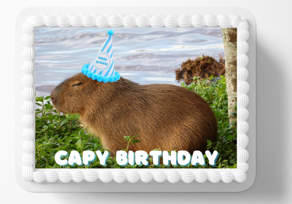 Capybara Capy Birthday Edible Image Personalize Edible Birthday Cake ...