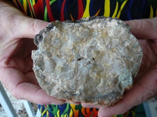 (DF842-84) 1 lb Fossil REAL DINOSAUR POOP Coprolite Dino Utah DUNG Poo ...