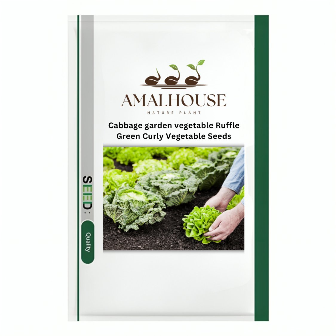 Cabbage garden vegetable Ruffle Green Curly Vegetable - 1000 PCS Seeds ...