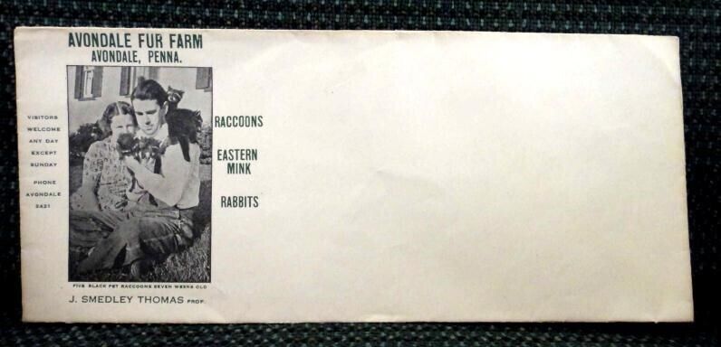 vintage AVONDALE FUR FARM ENVELOPE pa J.SMEDLEY THOMAS raccoons mink ...