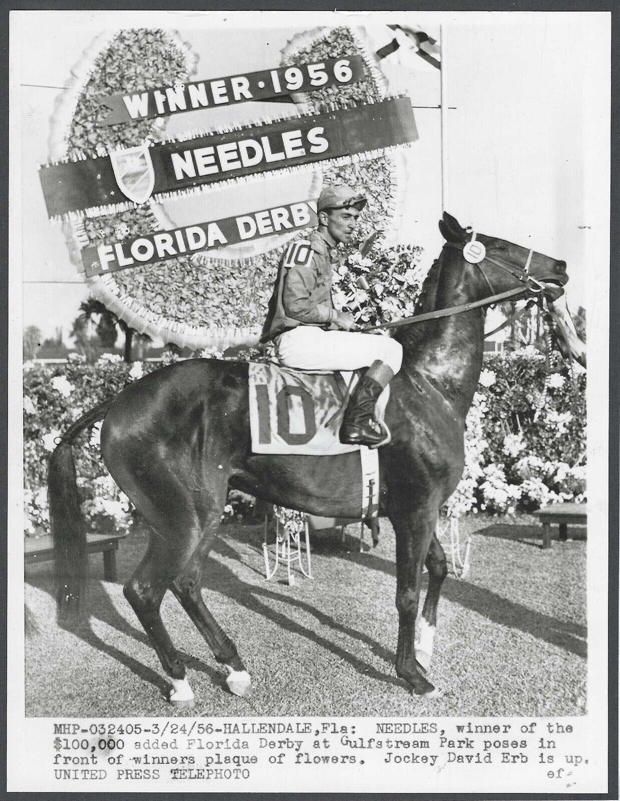 1956 - NEEDLES - Florida Derby Winner - 8" x 10" - Horse Racing