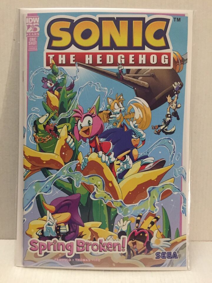2024 IDW Comics Sonic the Hedgehog Spring Broken One Shot #1 - Comics ...