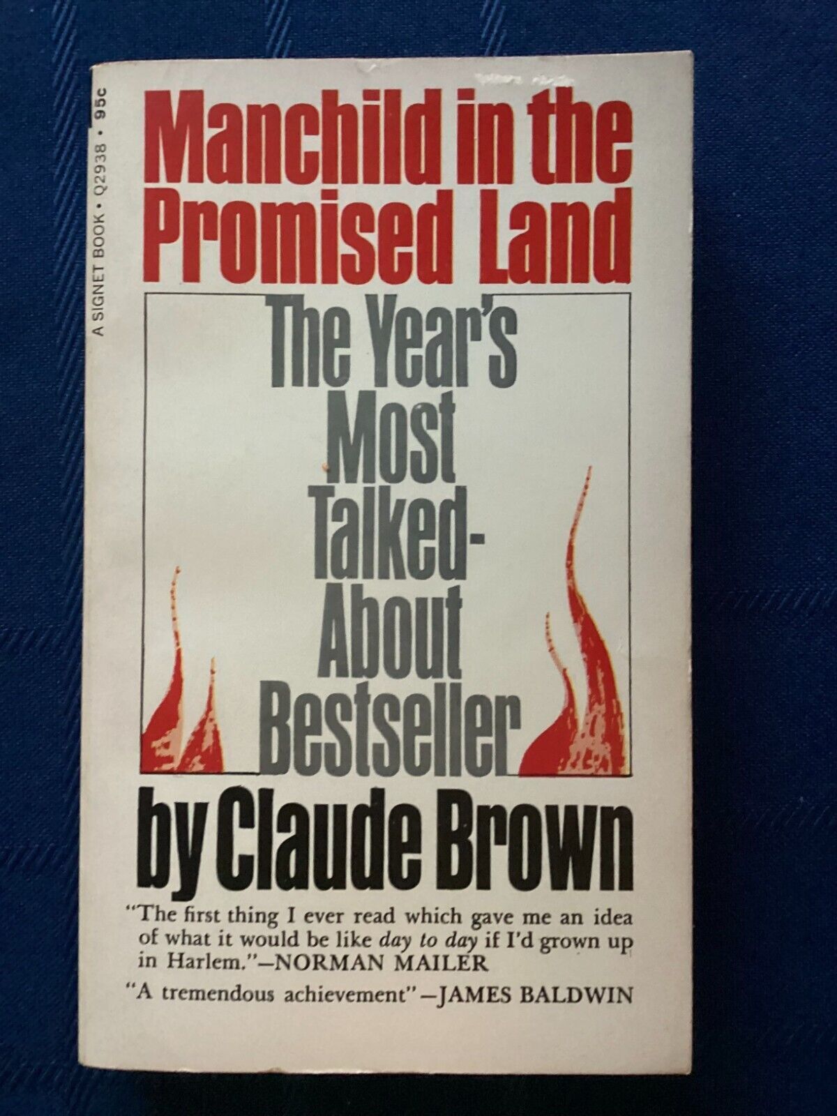 MANCHILD IN THE PROMISED LAND - Claude Brown - AFRICAN AMERICAN STREET ...
