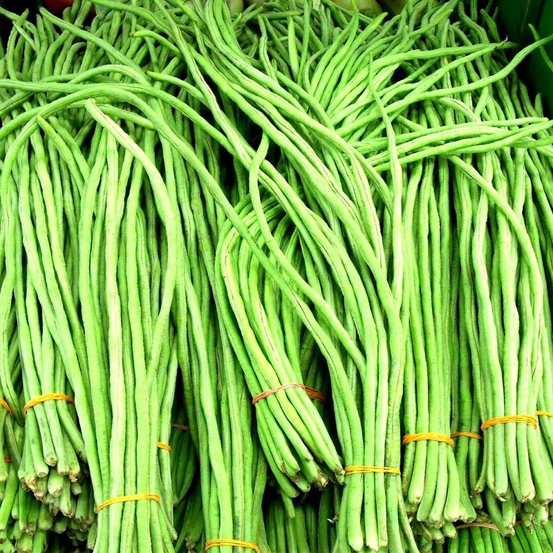 KBT 30 Cowpea Seeds Climbing Cow Pea Yard Long Bean Bulk Seeds - Seeds ...