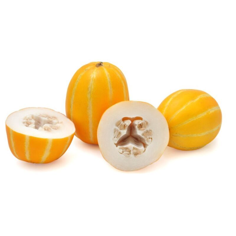 FMG 15 Seeds Korean Melon Fruit Healthy ing Summer Food Fast Grow ...