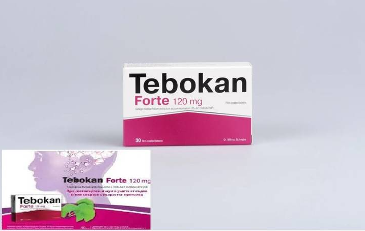 TEBOKAN FORTE 120MG Ginko Biloba Extract - Memory,Concentration ...