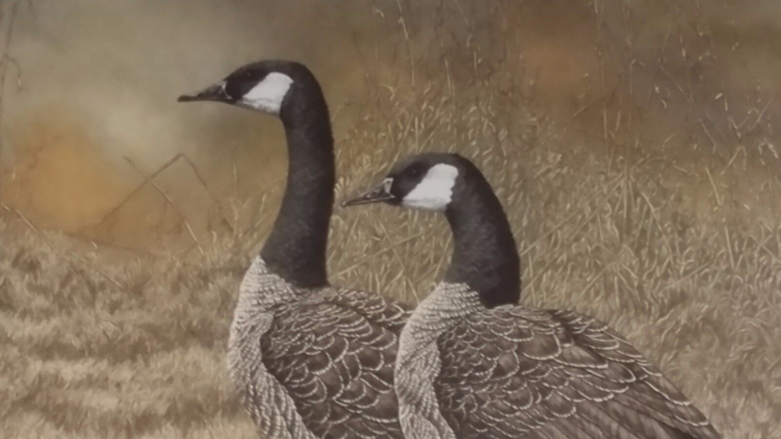 Christopher Forrest Litho Print (Geese) 19 x 23 (1980s) Matted - Art Prints