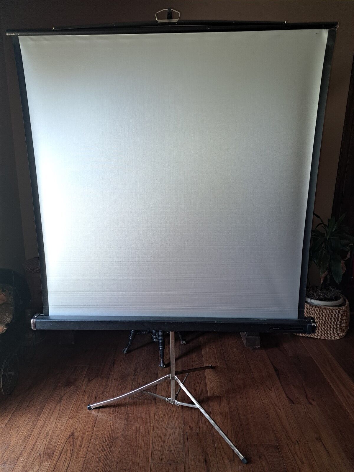 Vintage Sears Lenticular 50x50 Movie Projector Screen w/ Folding Tripod ...