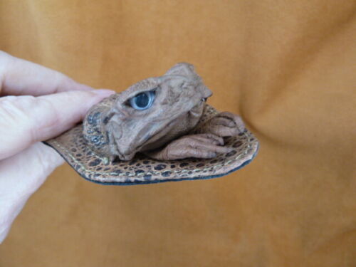 EL1000-5) genuine Cane TOAD head + feet legs Leather bookmark I love ...