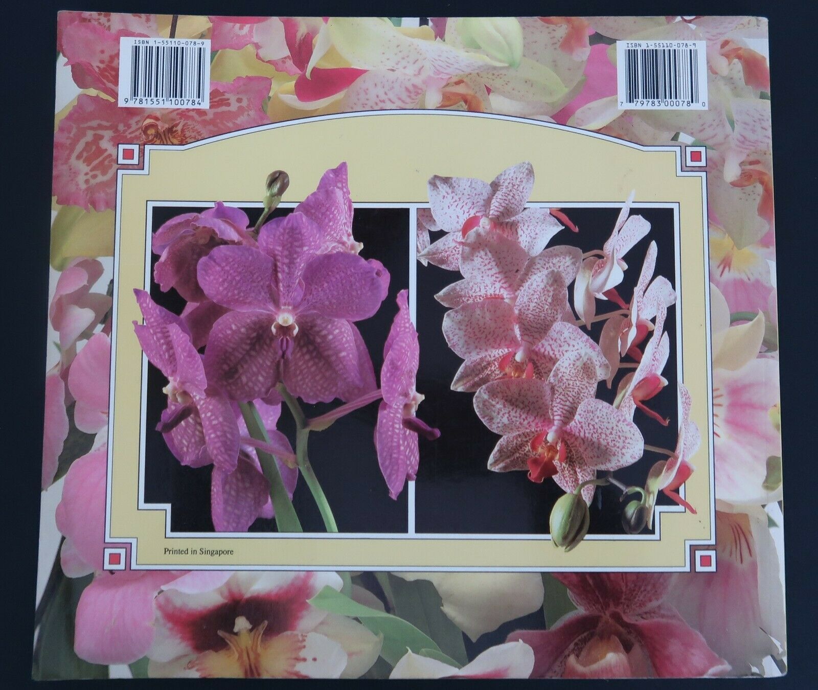 Step by Step Guide to Growing and Displaying Orchids reference book ...