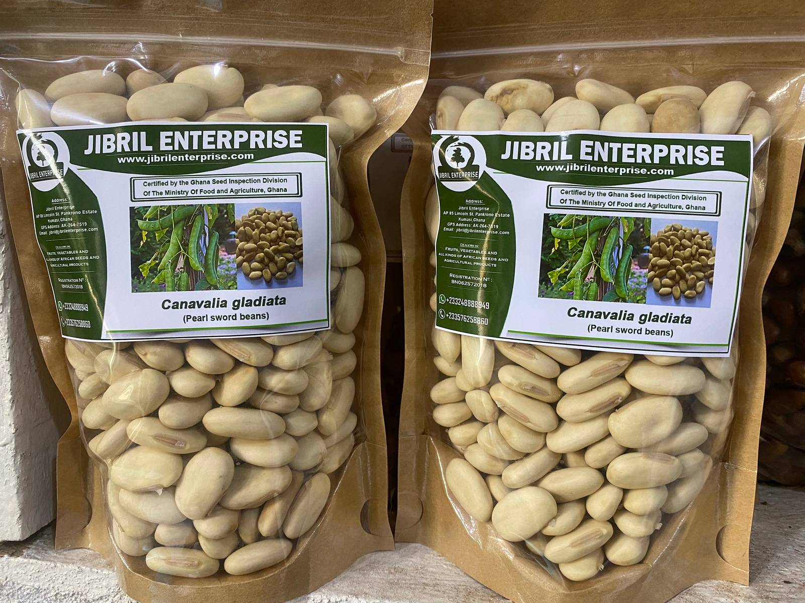 Pearl African canavalia gladiata(African sword beans), 100g/ 8 USD ...