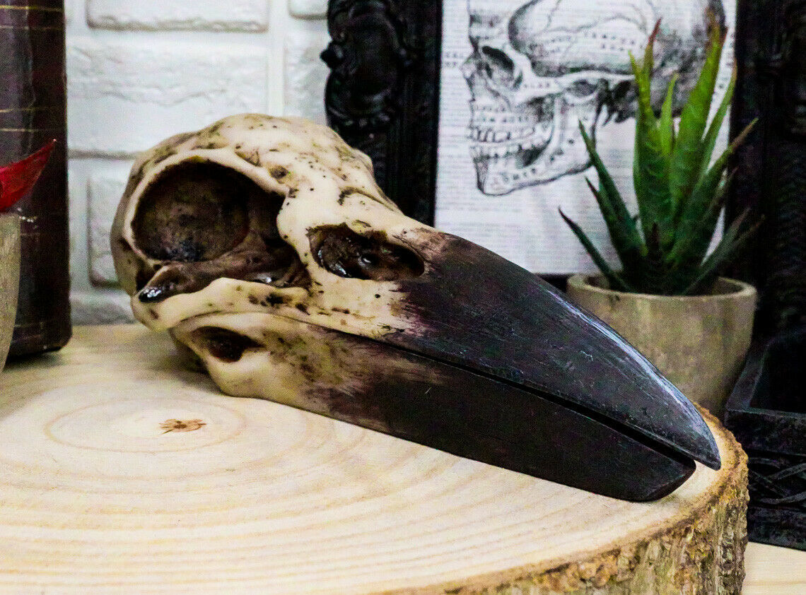 Ebros Bad Omens Witchcraft Gothic Raven Crow Skull Jewelry Box Figurine ...