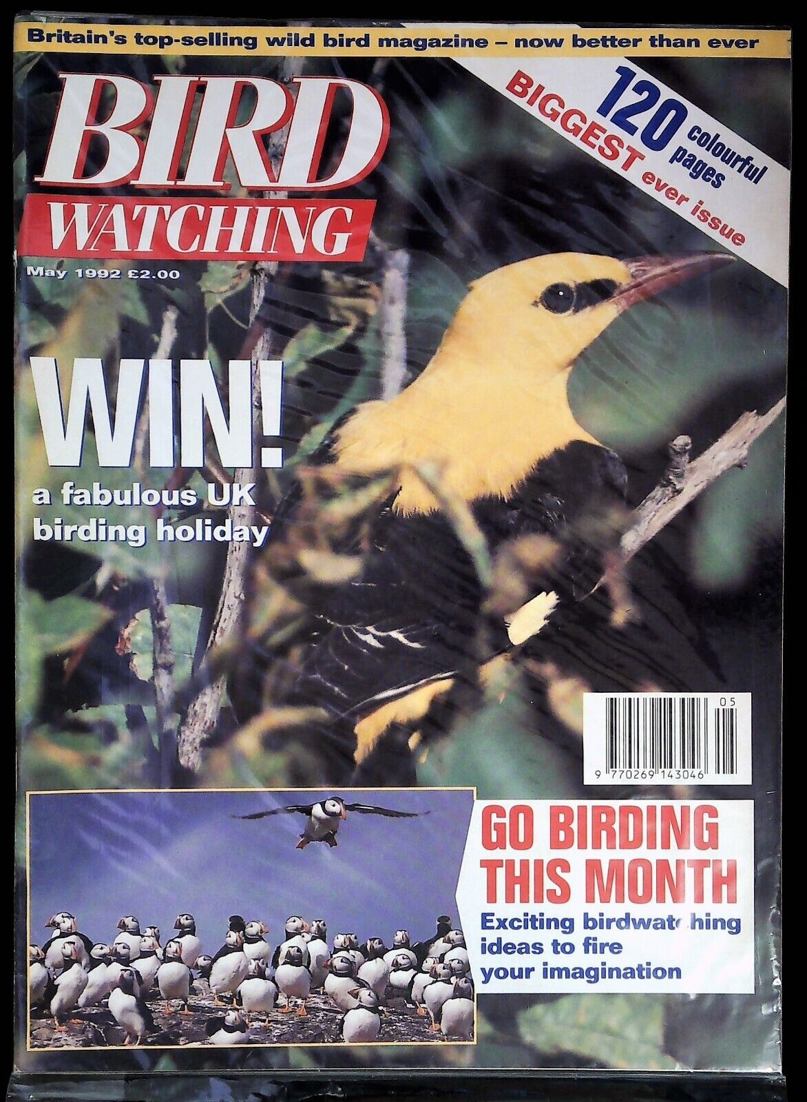 Bird Watching Magazine May 1992 mbox2604 Go Birding This Month - Magazines