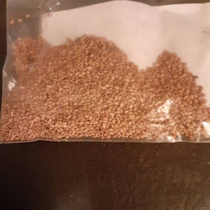 Tatarian White Mulberry Tree Seeds Morus Alba Tatarica Russian Mulberry ...