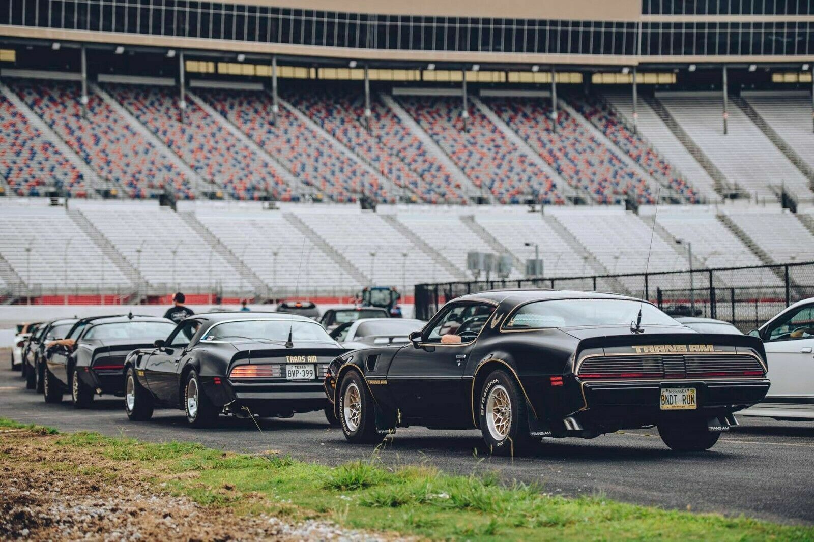 1977 1978 Pontiac Firebird Trans Am (LINE UP) Poster 24x36 inch | wall ...