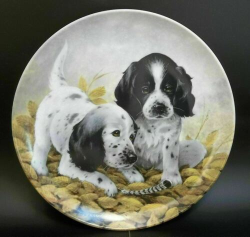 Field Puppy United Kennel Club Porcelain Plate Dogs Friends Irish ...