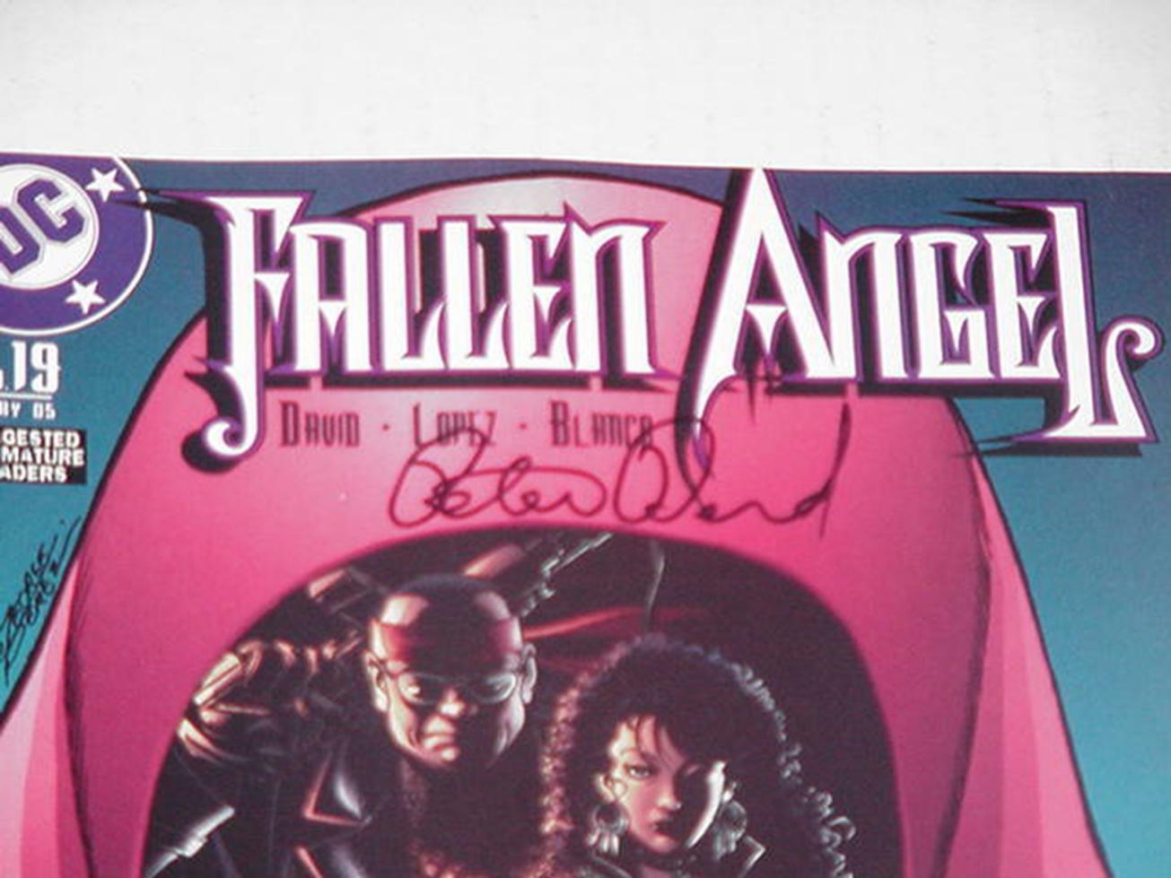 Fallen Angel 19 NM Signed by Peter David Sachs & Violens App Marvel/DC ...