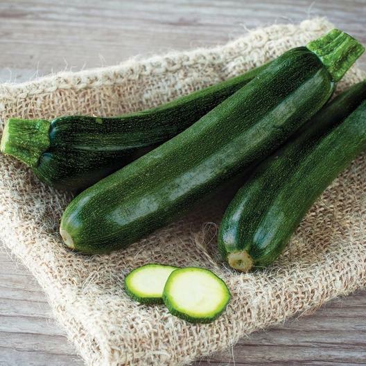 SYR 100 Black Beauty Zucchini Squash Seeds Summer Squash Fast Growing ...