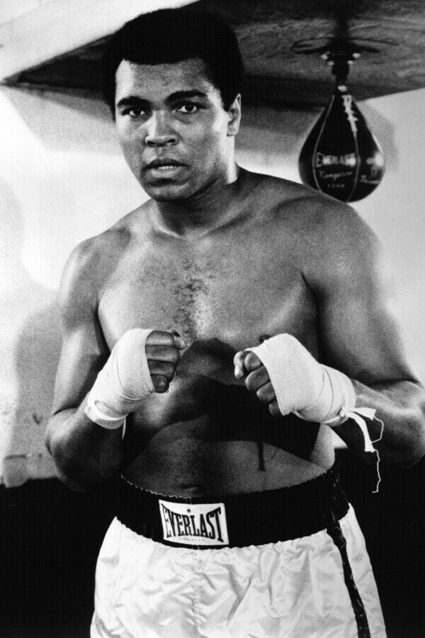 Muhammad Ali legendary boxing pose ready for action 8x12 inch photo - Color