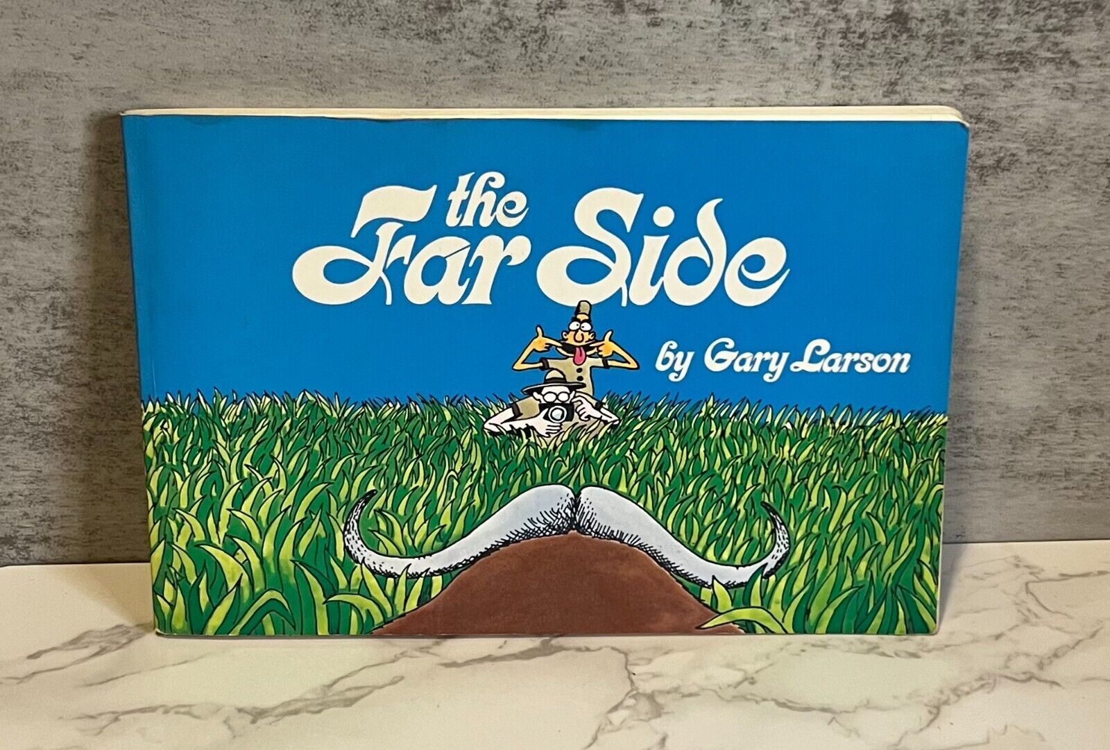 The Far Side ® (Volume 1) by Gary Larson - Comics & Graphic Novels