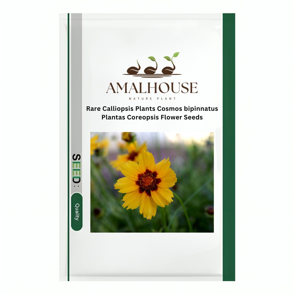 Calliopsis Plants Cosmos bipinnatus Plantas Coreopsis Flower - 100 ...