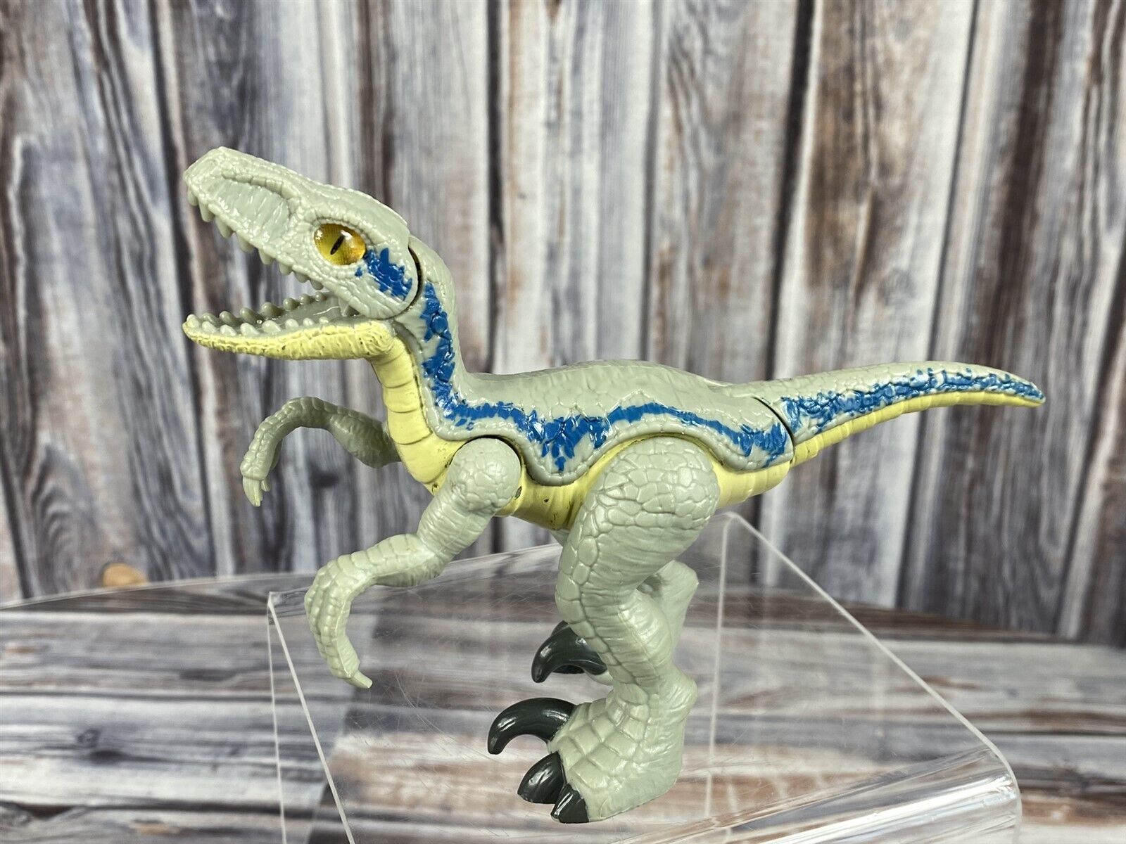 Imaginext Jurassic World Raptor Velociraptor - Blue - From Dinosaur ...