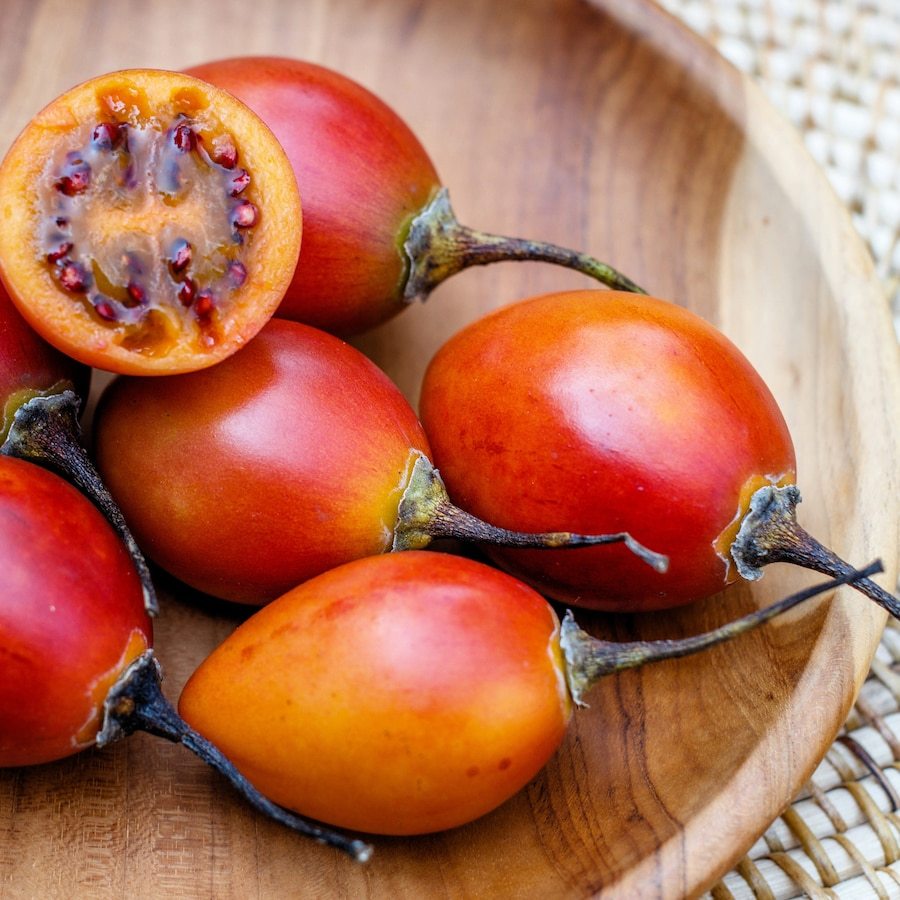 10 Tamarillo Tree Tomato Cyphomandra Betacea Solanum Fruit Tree Seeds ...