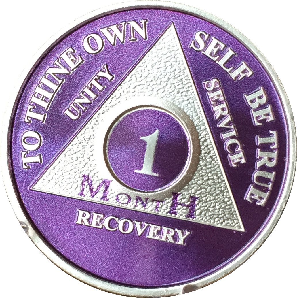 1 Month Purple Silver Plated AA Medallion 30 Day Chip - Toys & Hobbies