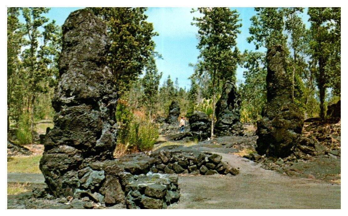 Lava Trees at Lava Tree State Park Hawaii Volcano Postcard ...