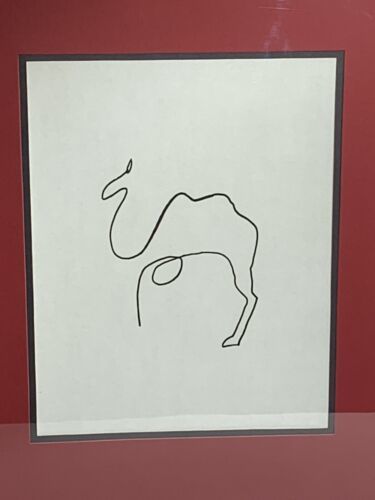 The Camel Drawing by Pablo Picasso Art Print Poster Matted and Framed ...