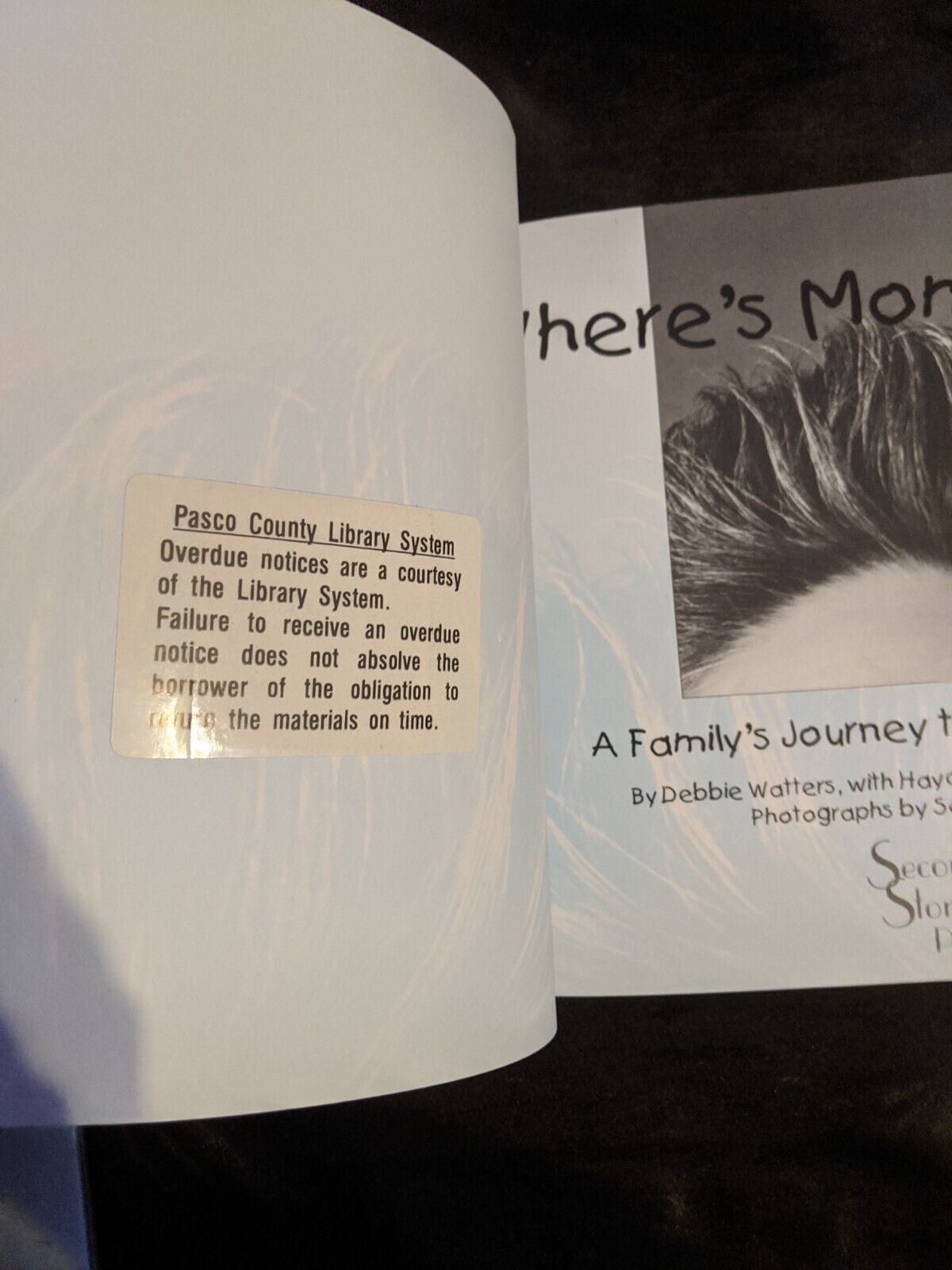 Where's Mom's Hair?: A Family's Journey and similar items