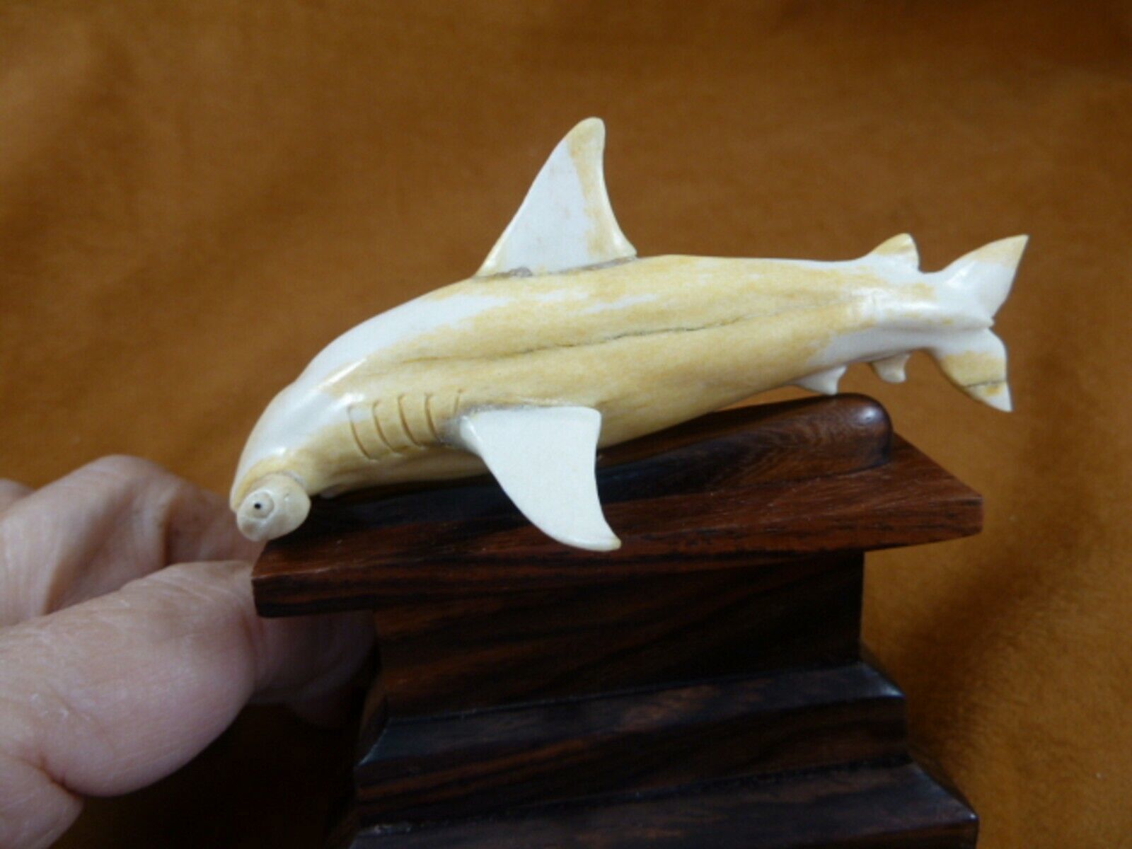 (Shark-5) Hammerhead Shark display figurine of shed Moose antler Bali ...