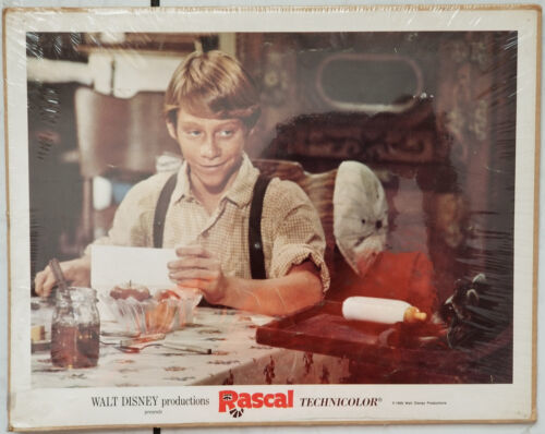 Movie Theatre Lobby Card Rascal 1969 Technicolor Walt Disney ...