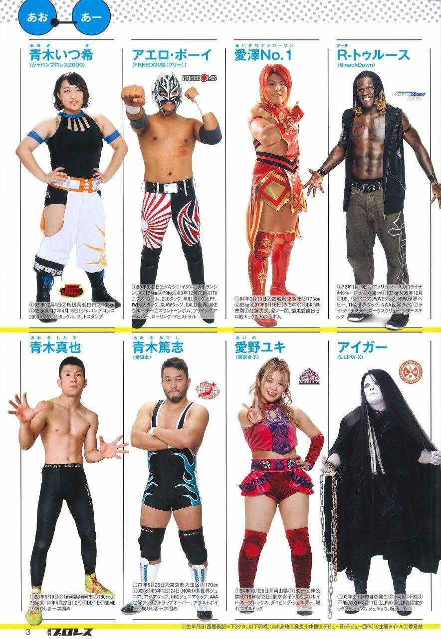 Japanese Pro Wrestling 1028 Wrestlers Photo Book Magazine 2019 Japan ...