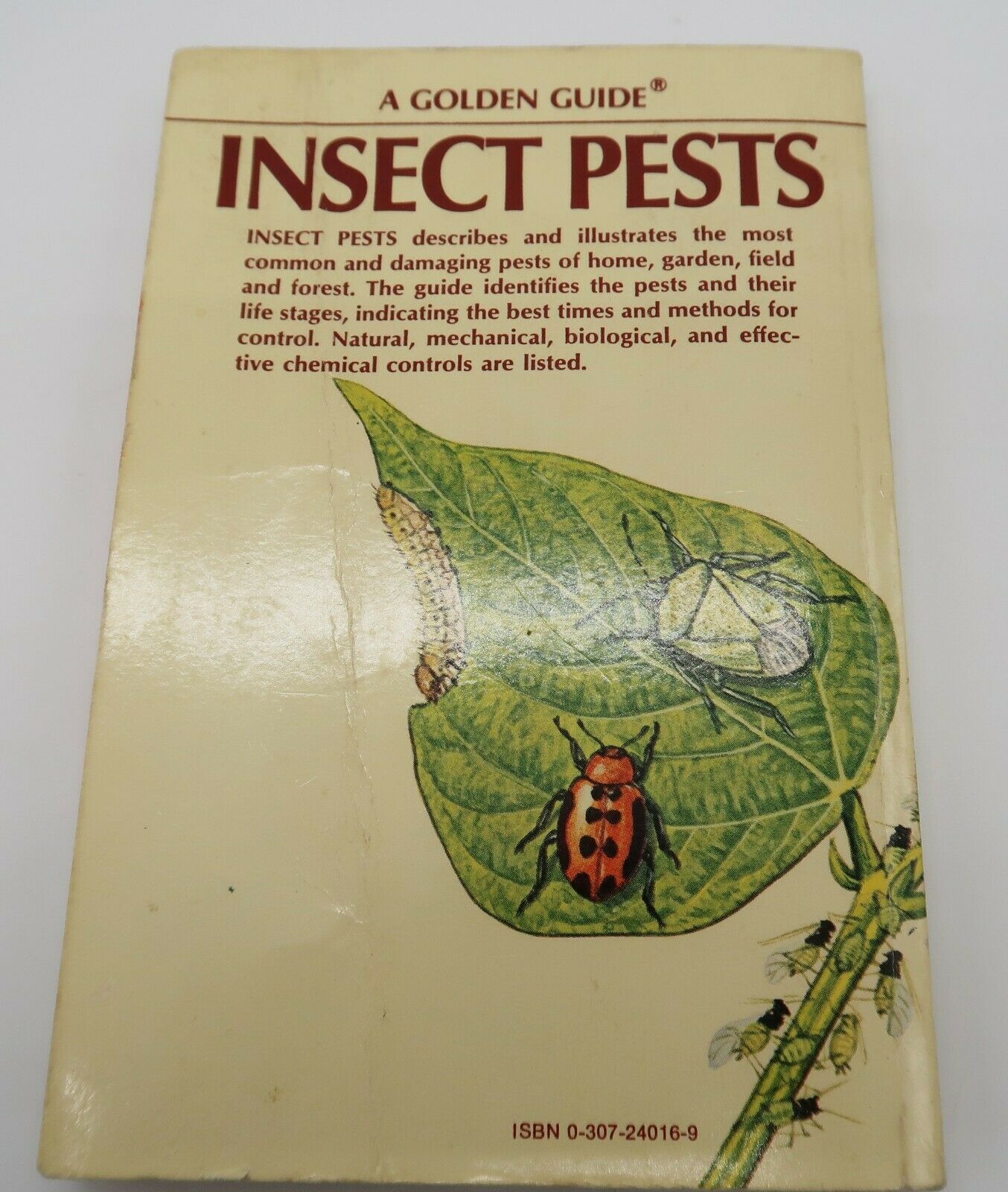 1966 Insect Pests Golden Guide Western Publishing softcover full color ...