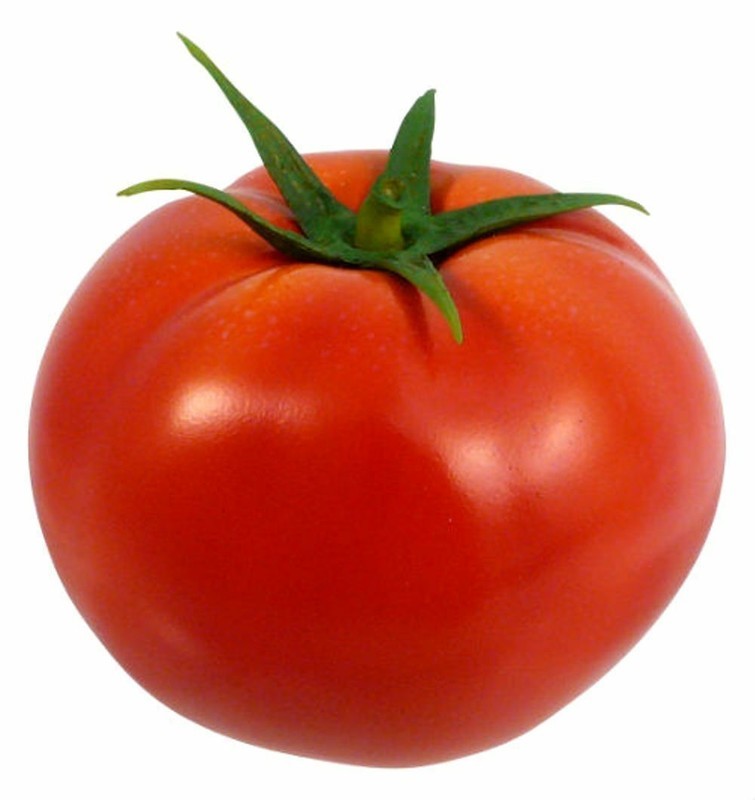 Homestead Tomato B220 Heirloom Seeds - Seeds & Bulbs