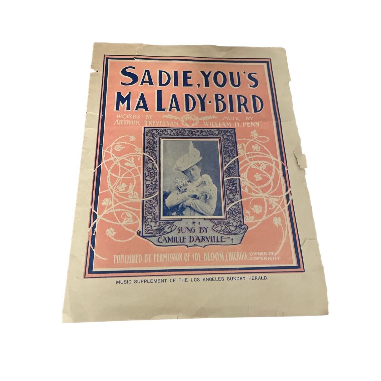 Sadie Yous Ma Lady Bird 1901 Sheet Music and 50 similar items