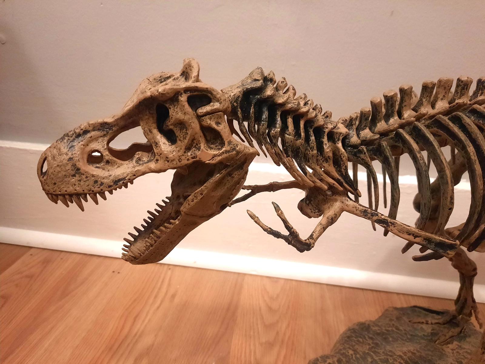 Tyrannosaurus Rex T-Rex model skeleton puzzle science learning teaching ...