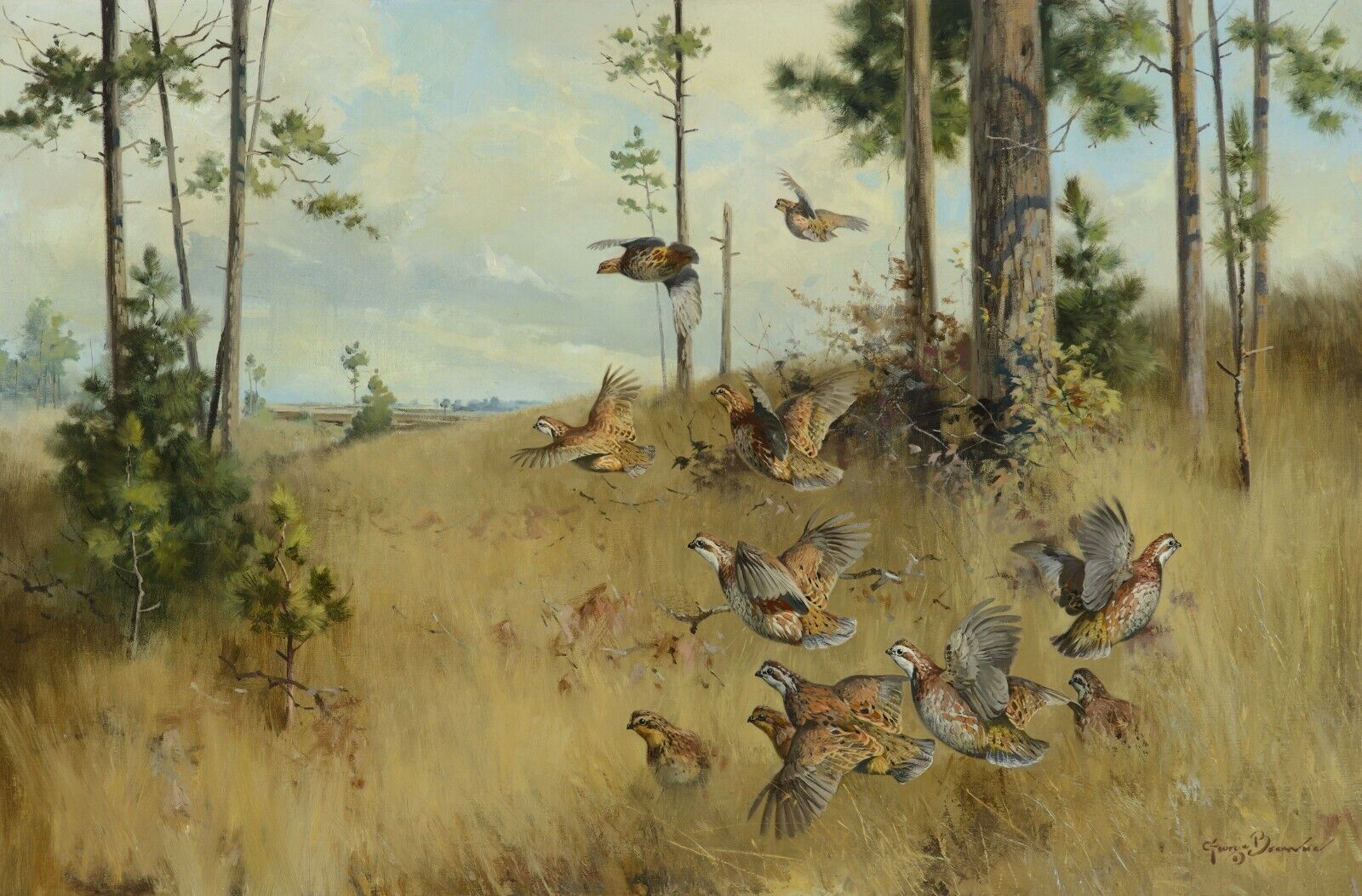 Framed canvas art print giclee flying quail birds in pine tree forest ...
