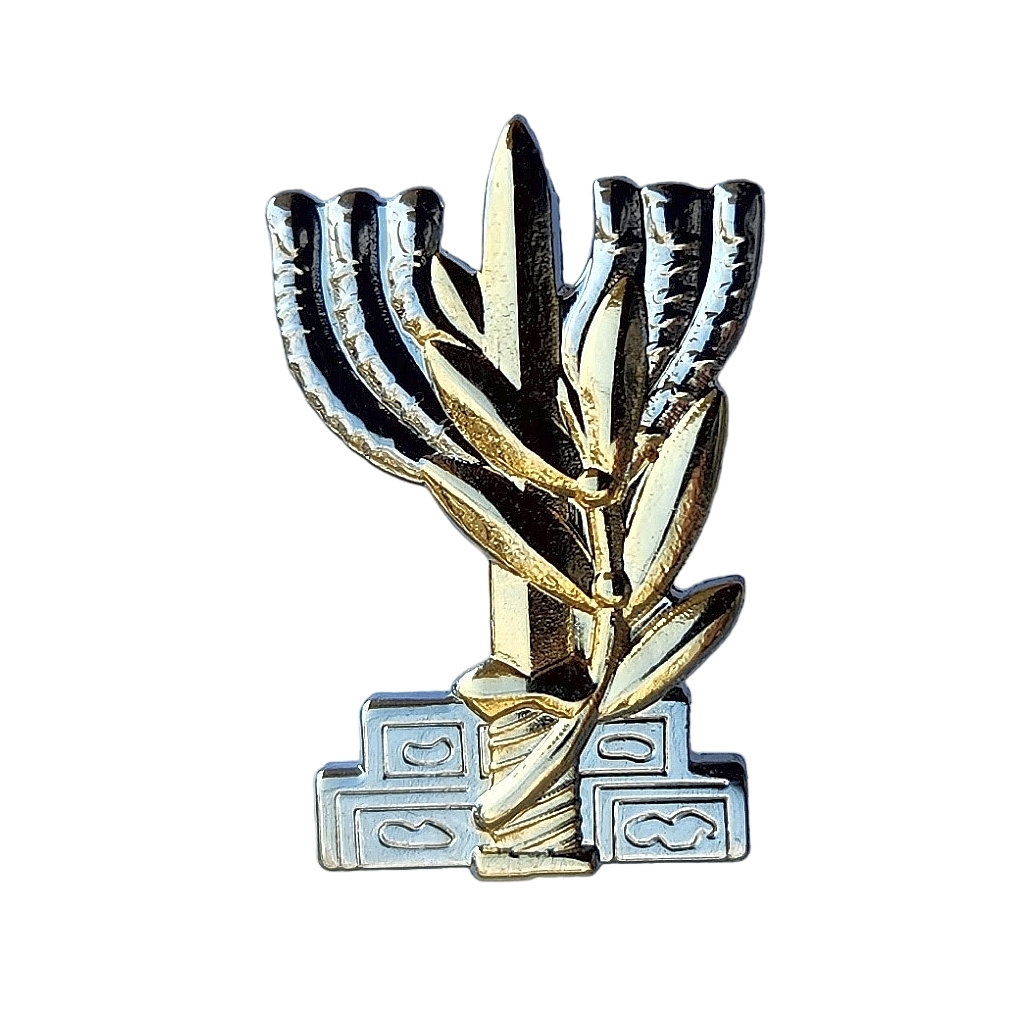 IDF outstanding president service award (gold coated) badge Israel army ...